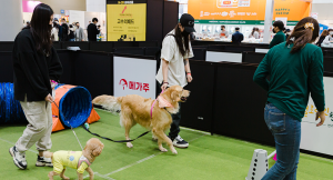 메가주 2022 - MEGAZOO