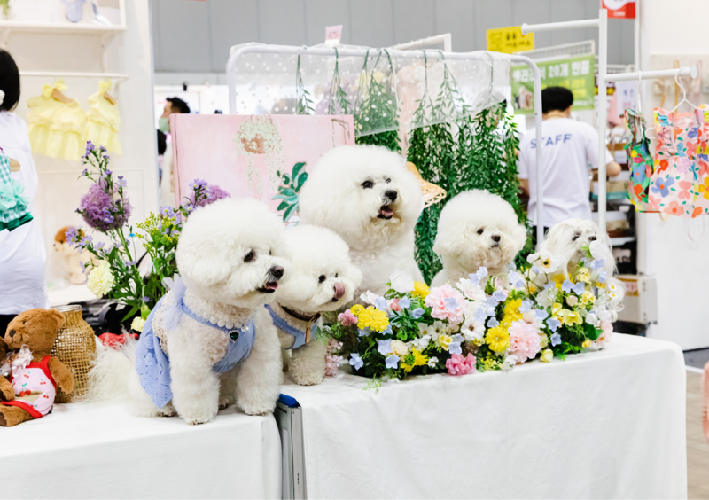 MEGAZOO PART 1 SHOW REVIEW - MEGA ZOO ENG