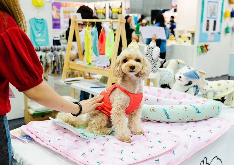 MEGAZOO PART 1 SHOW REVIEW - MEGA ZOO ENG