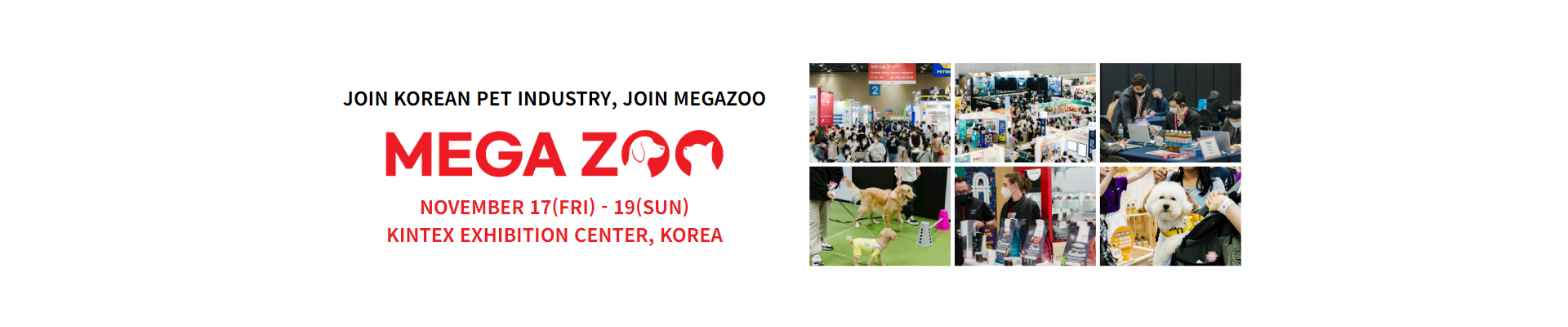 MEGA ZOO - MEGA ZOO ENG