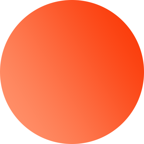 MEGA ZOO - MEGA ZOO ENG